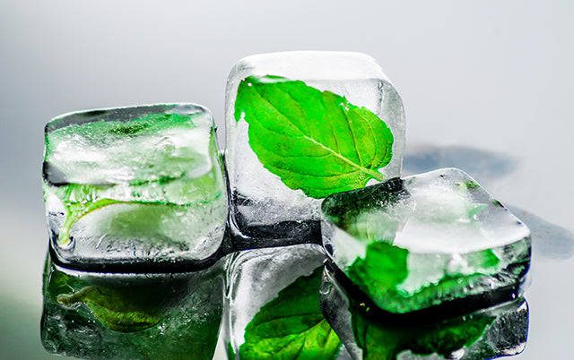 Wintermint – Candydistributors.com